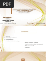 1 - Stratégies de Management Et Plans de Mise en Œuvre de Gestion Des Risques ESHS - V001 | PDF ...