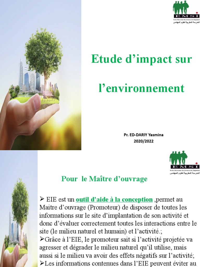 Eie 2019 | PDF | Étude d'impact | Environnement naturel