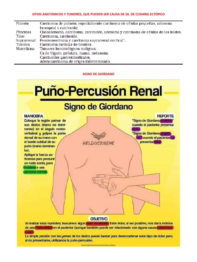 Puño Percusion | PDF Puño Percusion | PDF