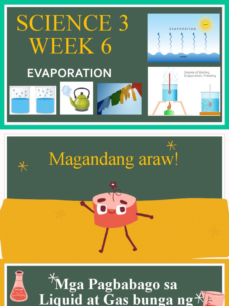 Science Week 4 - Evaporation | PDF