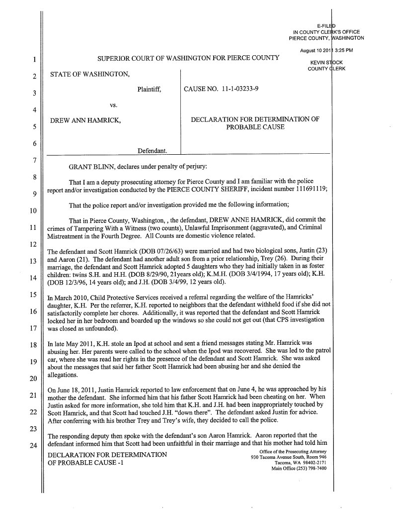 Drew Ann Hamrick Child Abuse | PDF