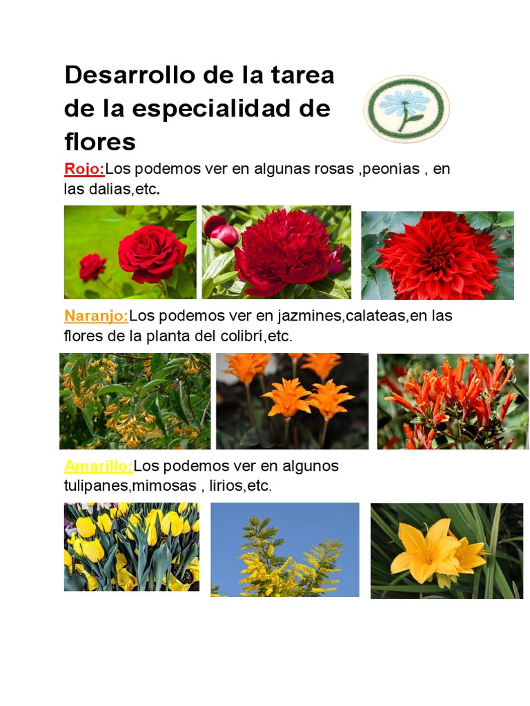 Desarrollo de La Tarea de La Especialidad de Flores | PDF
