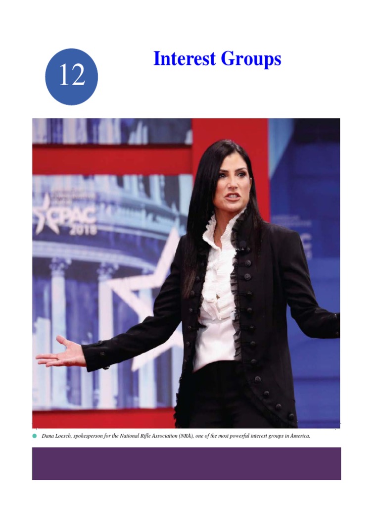Understanding Interest Groups in Politics | PDF | United States ...