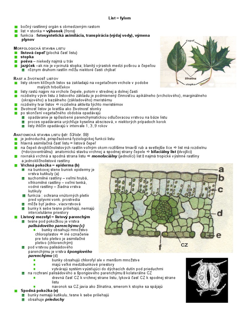 List | PDF