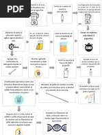 Guía Extracción de ADN en Fresa | PDF | Adn | Biología Celular)