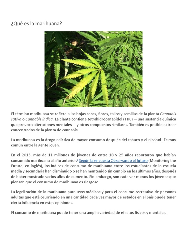 Canabis Pdf Cannabis Droga El Embarazo