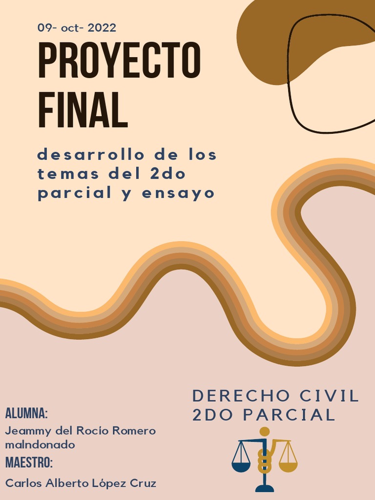 Desarrollo de Los Temas Del 2do Parcial | PDF | Sociedad de responsabilidad limitada | Bienes (Ley)