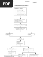 Ats, TT, Tig: Anti Tetanus Serum, Tetanus Toxoid, Tetanus Immuno ...