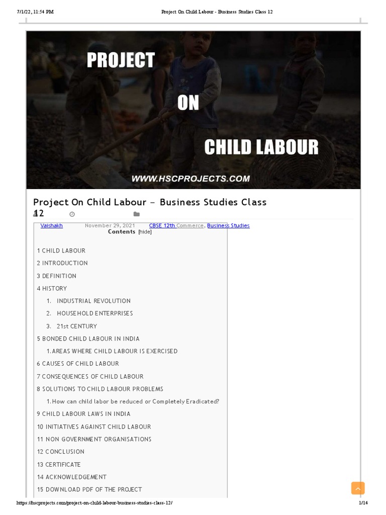 Child Labour Project for Class 12 | PDF | Child Labour | Labour Economics
