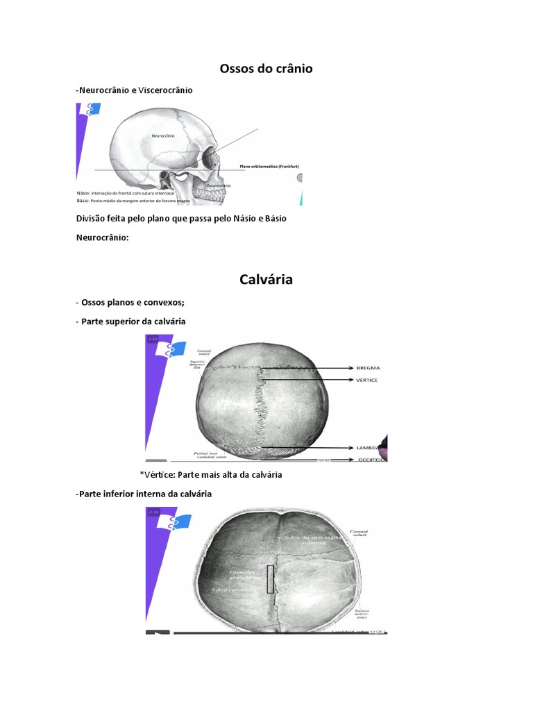 Ossos Do Crânio | PDF | Crânio | Sistema Esquelético
