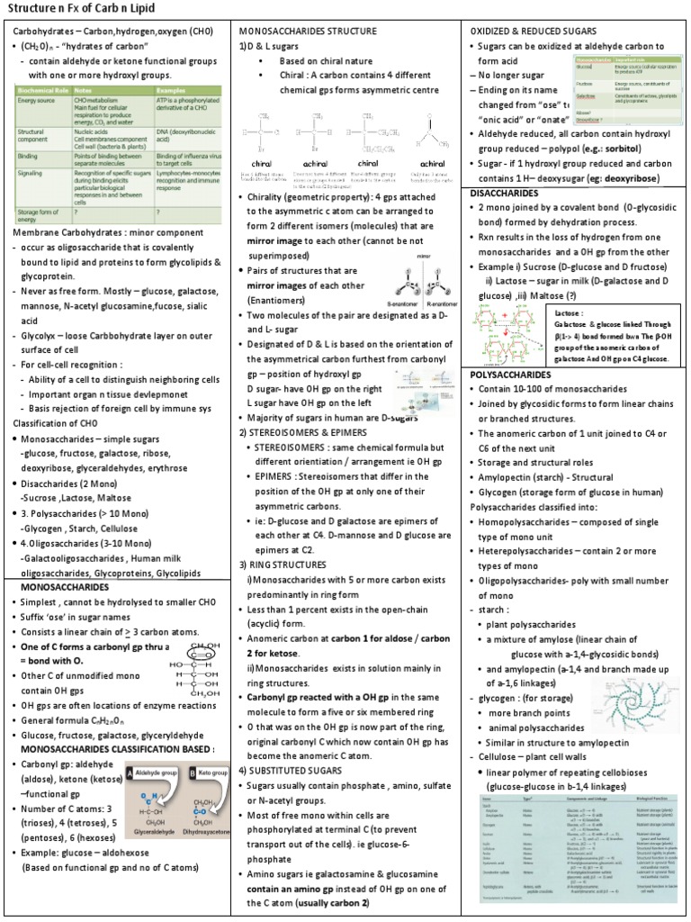 BMM LEC 4 SN Structure Function of Carbohydrates & Lipids | PDF ...