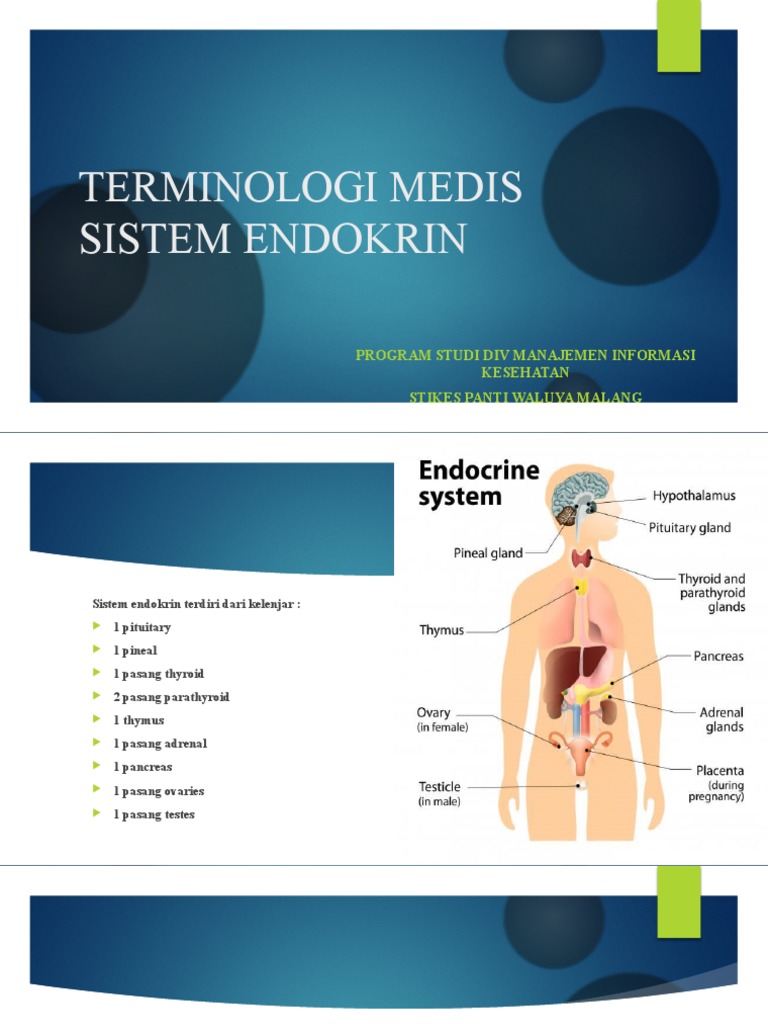 Terminologi Medis Sistem Endokrin | PDF