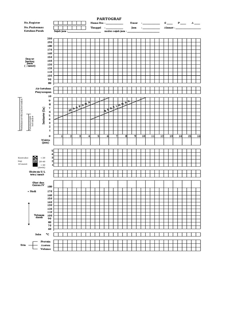 Partograf | PDF