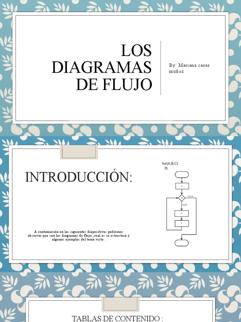 Diagramas de Flujos | PDF | Informática