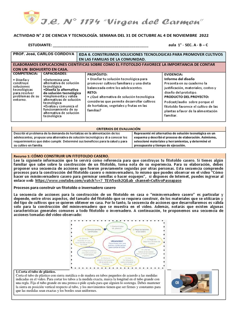 Actividad N°2 Eda, 6-Cyt.1° | Descargar gratis PDF | El plastico | Diseño