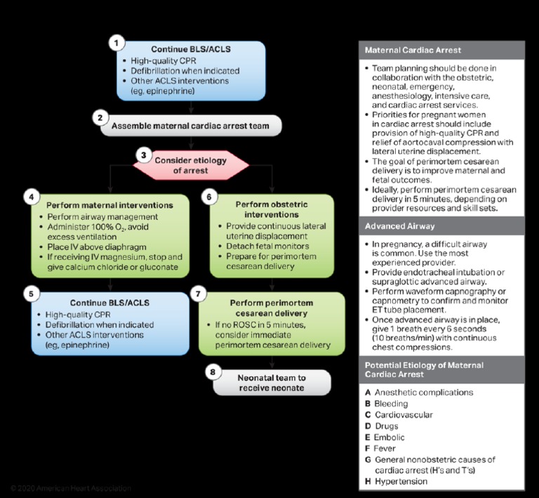 ACLS_Cardiac arrest_in_Pregnancy_In-Hospital | PDF