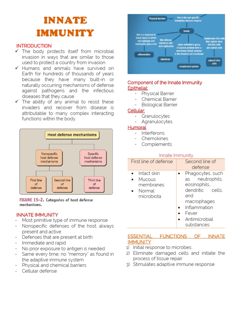 Innate Immunity | PDF | Innate Immune System | Immune System
