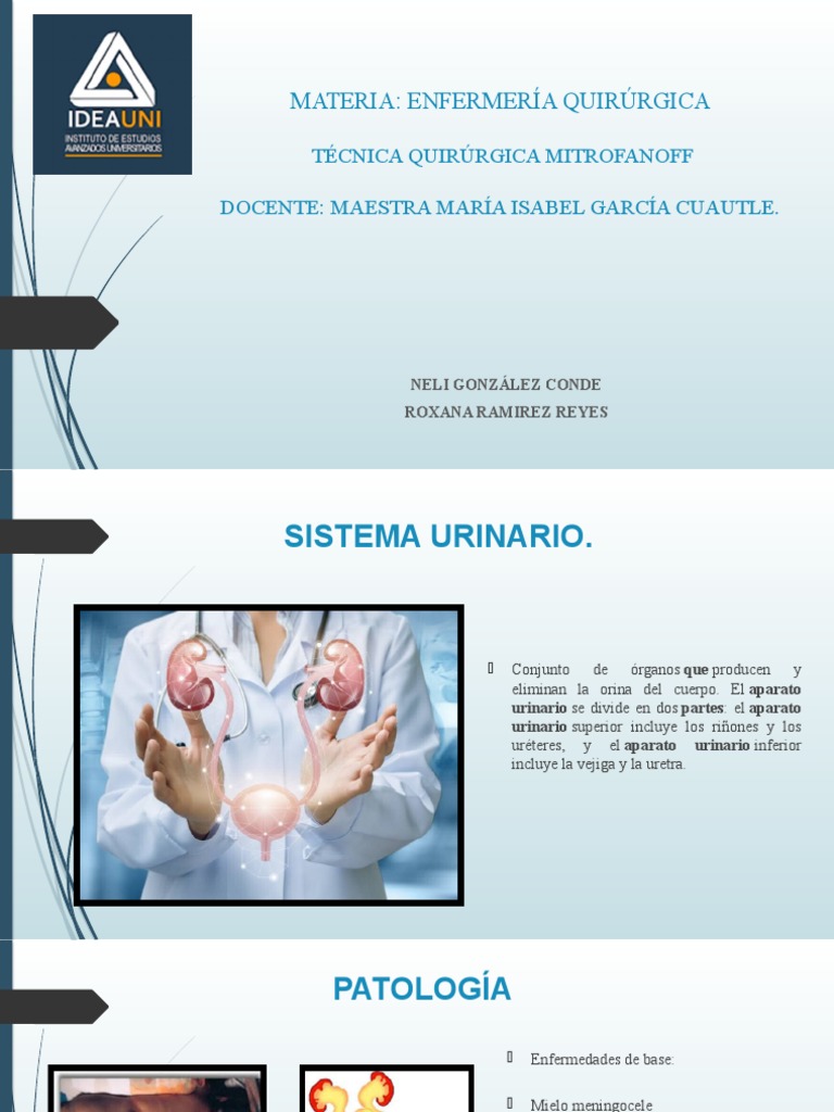 Técnica Quirúrgica Mitrofanoff en Urología | PDF | Sistema urinario ...