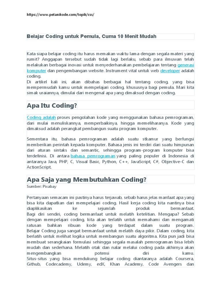 Belajar Coding Untuk Pemula | PDF