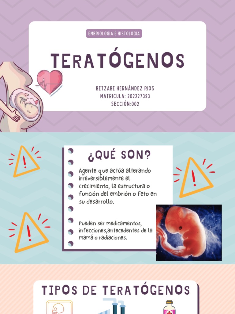 Teratógenos BHR | PDF | Vitamina a | El embarazo