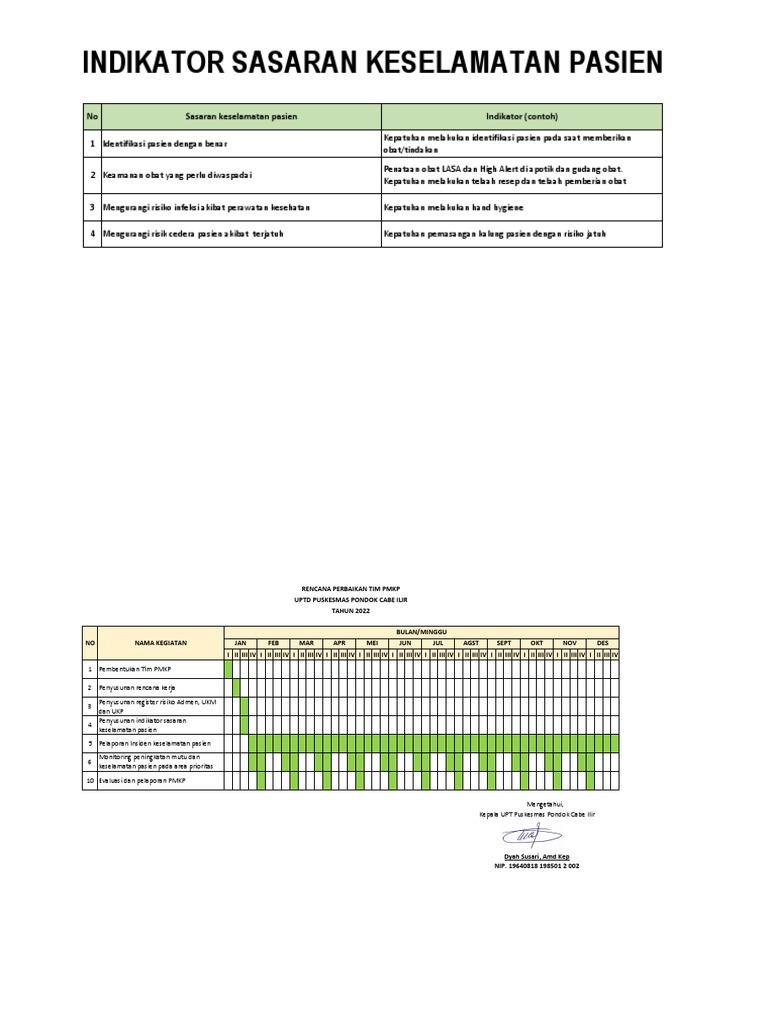 Rencana Perbaikan Program Mutu Dan Keselamatan Pasien | PDF