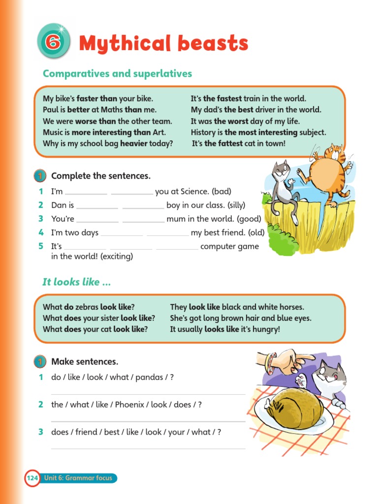 U6 Grammar Focus | PDF