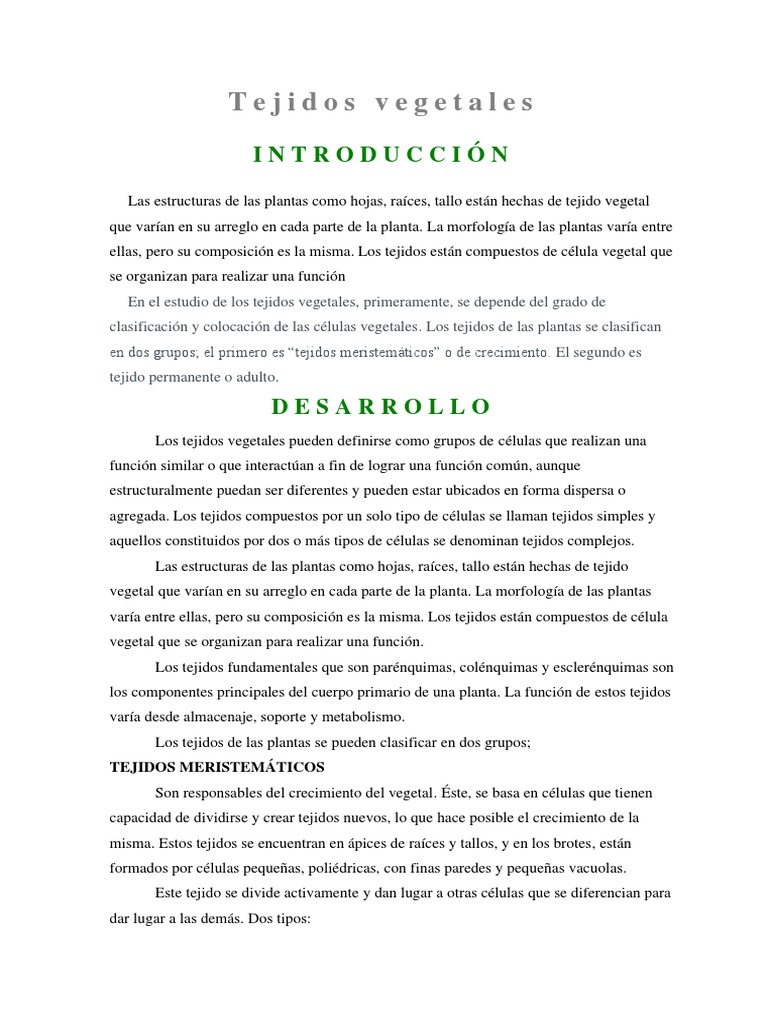 Tejidos Vegetales 2 | PDF | Plantas | Tallo de la planta