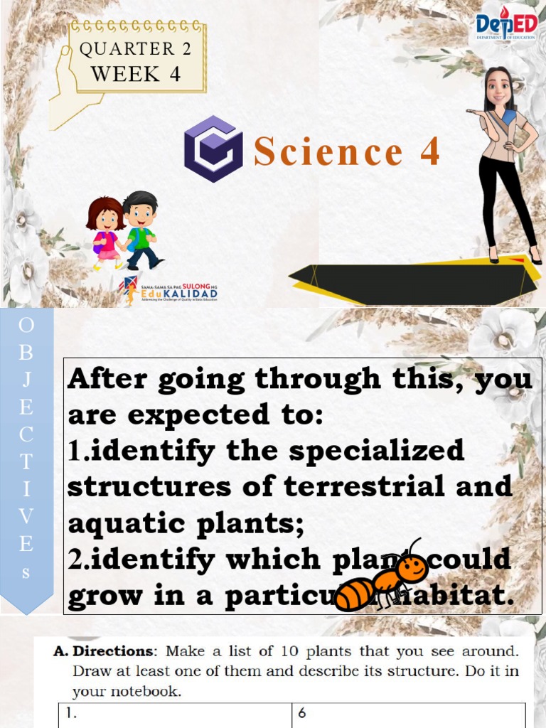 Science 4 Week 4 Quarter 2 | PDF | Plants | Soil