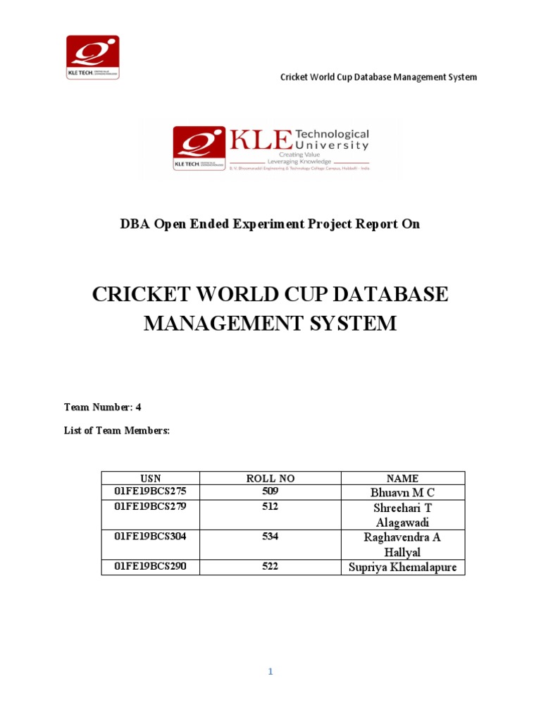Team-4 - Project Report | PDF | Relational Database | Databases