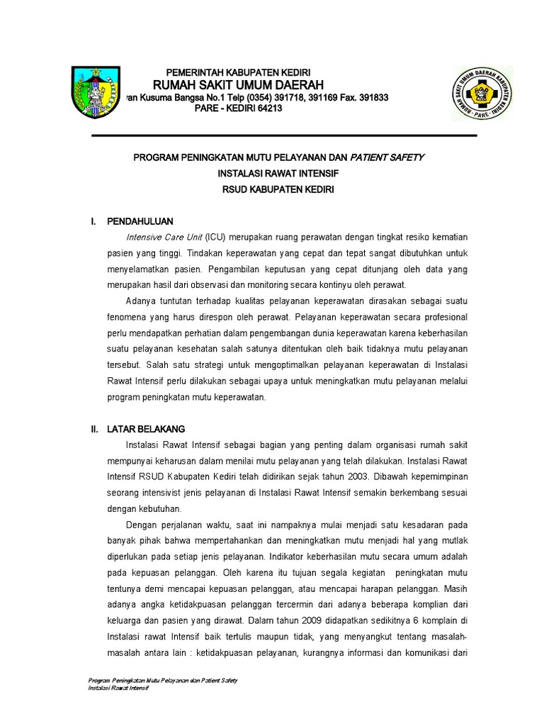 Program Peningkatan Mutu Pelayanan Icu | PDF