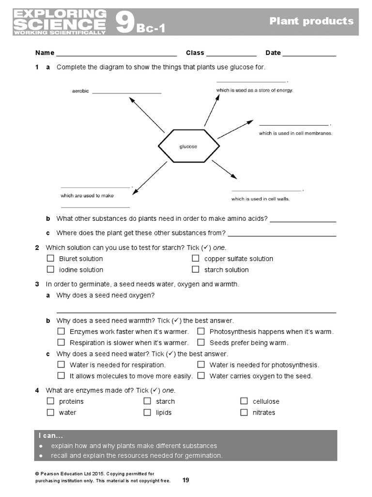 9Bc-1 (Worksheet 1) | PDF | Home & Garden | Wellness