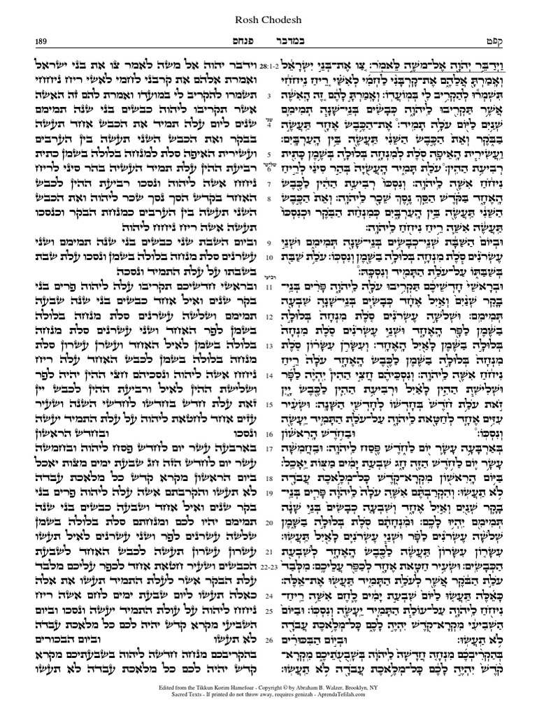 Special Rosh Chodesh | PDF