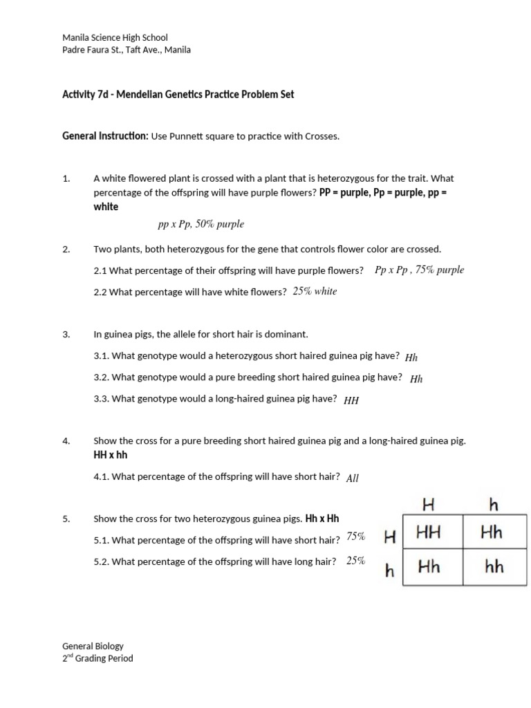 Activity 7d - Mendelian Genetics Practice Problem Set | PDF