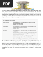 Vision Conversion Chart v2 0 | PDF | Eye | Face