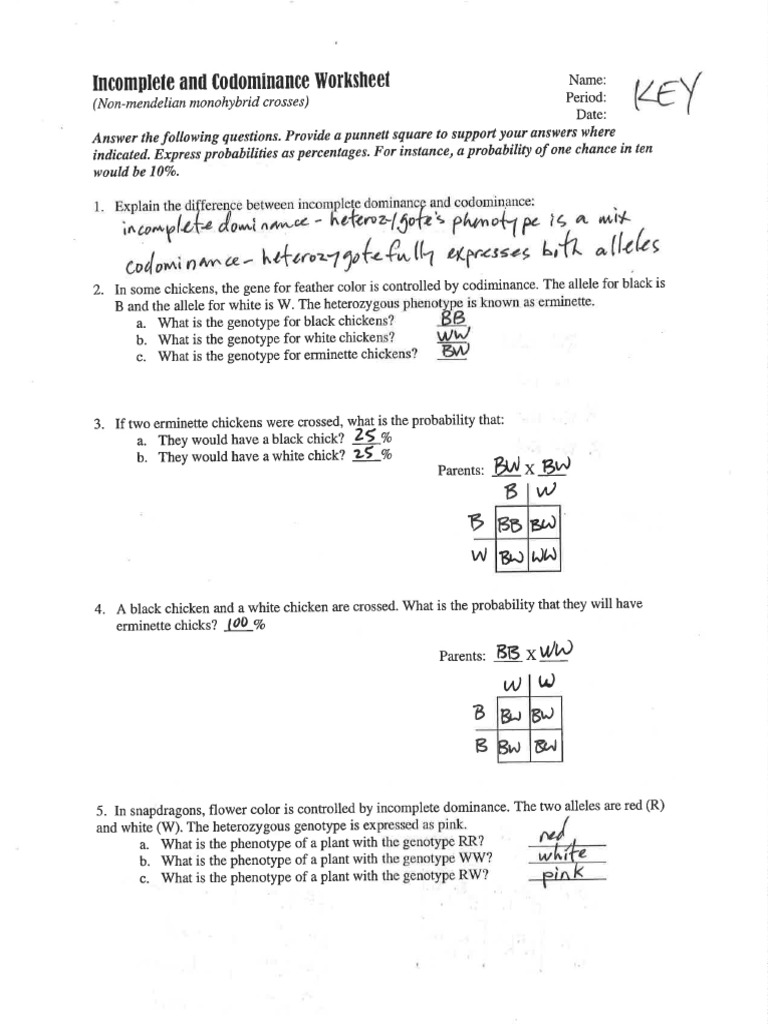 Incomplete and Codominance Worksheet Key | PDF