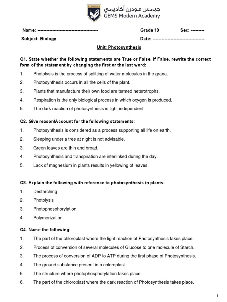 Photosynthesis Worksheet | PDF