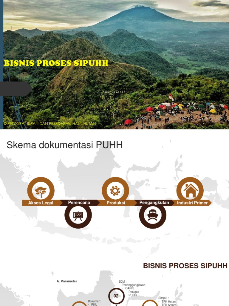 Proses Bisnis dan Sistem SIPUHH | PDF