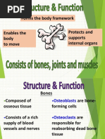 Anatomy of Movement PDF | PDF | Anatomical Terms Of Motion | Skeletal ...