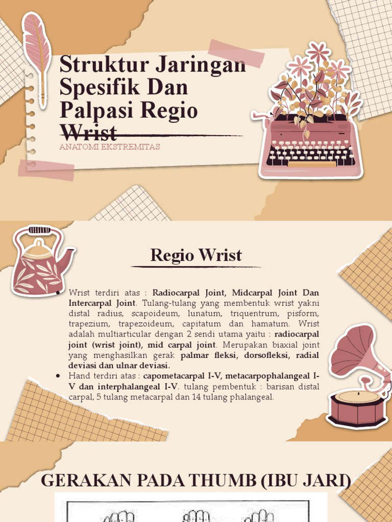 Struktur Jaringan Spesifik Dan Palpasi Regio Wrist: Anatomi Ekstremitas ...