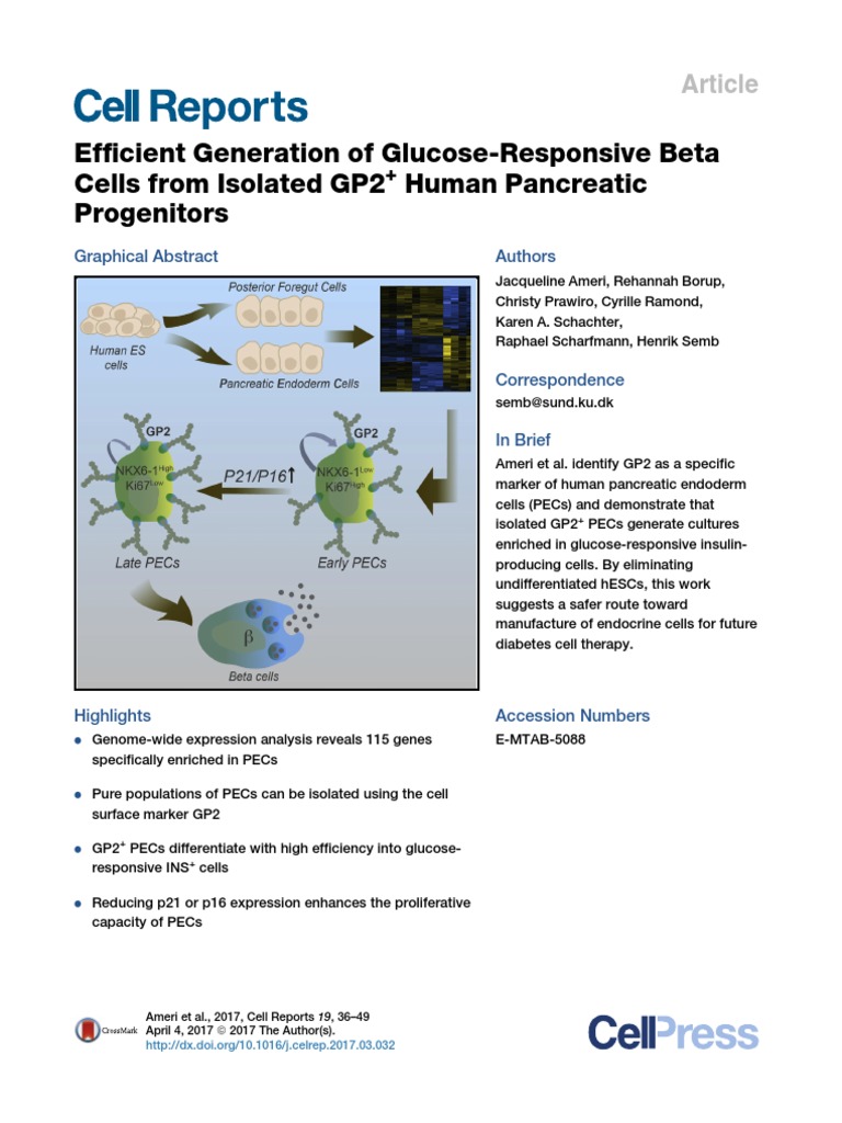 Efficient Generation of Glucose-Responsive Beta Cells From Isolated GP2+ Human Pancreatic ...