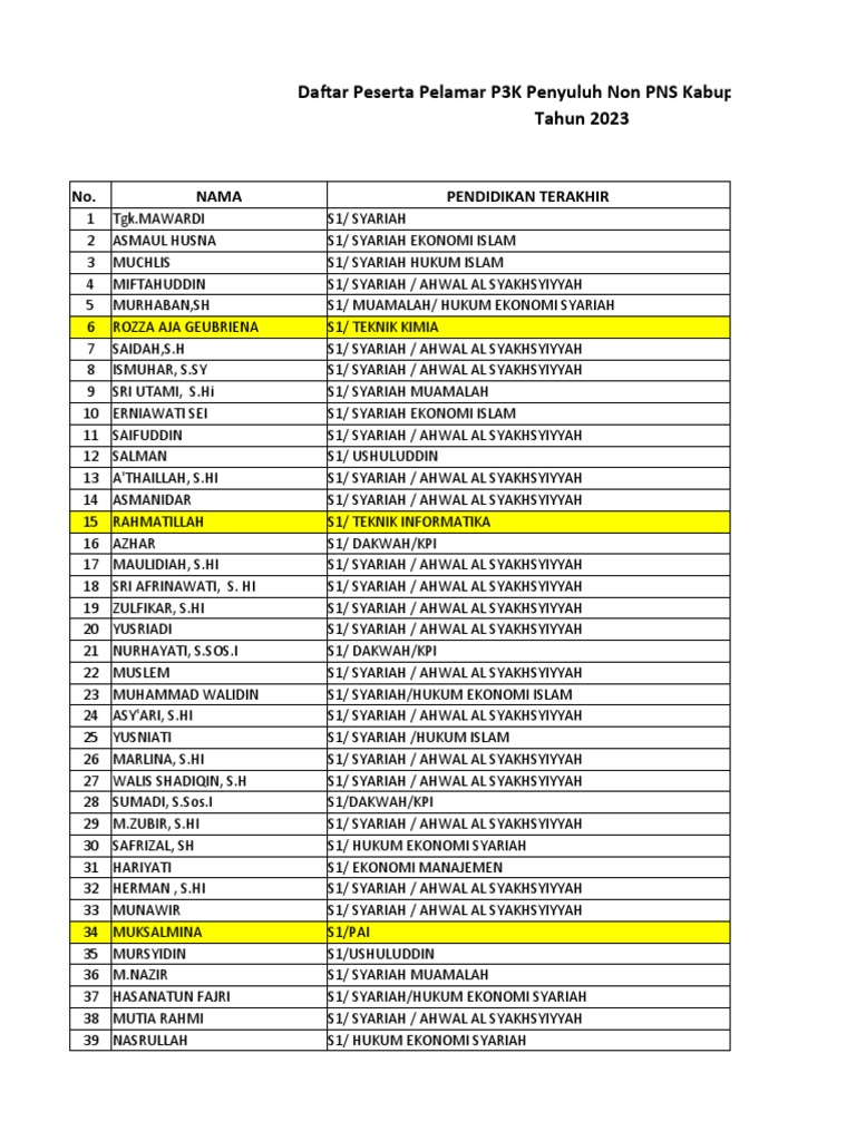 DATA P3K Kab - Aceh Utara 2023-1 | PDF
