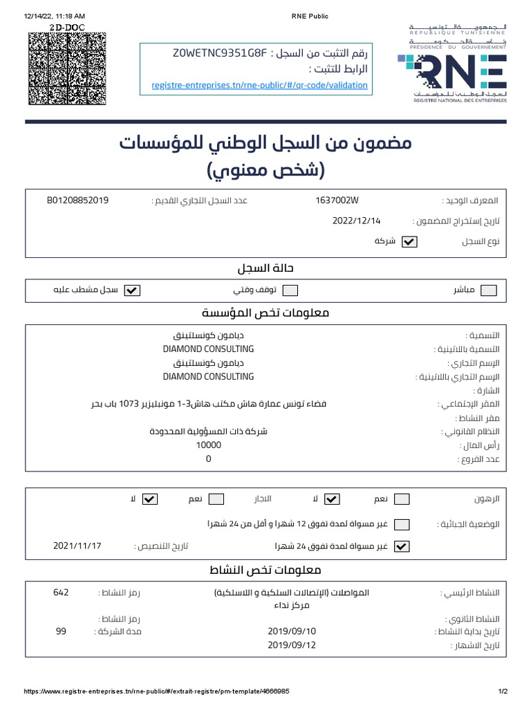 RNE Public - Compressed | PDF