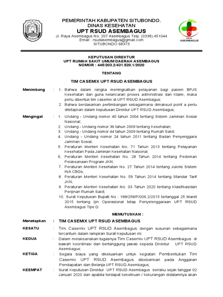 SK Tim Casemix | PDF