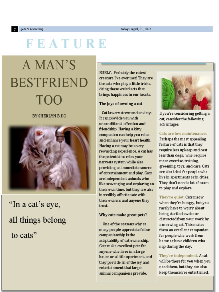 Feature | PDF | Cats | Pet