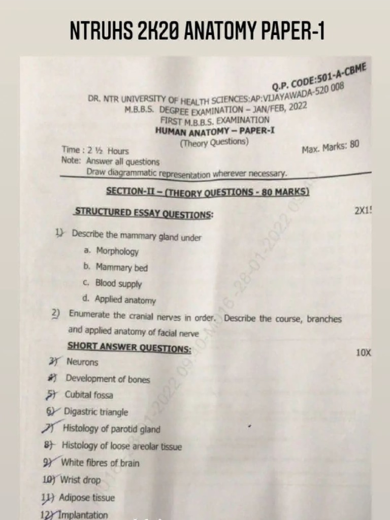 NTRUHS PHYSIOLOGY PAPER 1 ANATOMY AND FUNCTIONS OF HEART | PDF ...