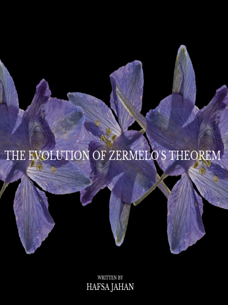 The Evolution of Zermelo's Theorem | PDF