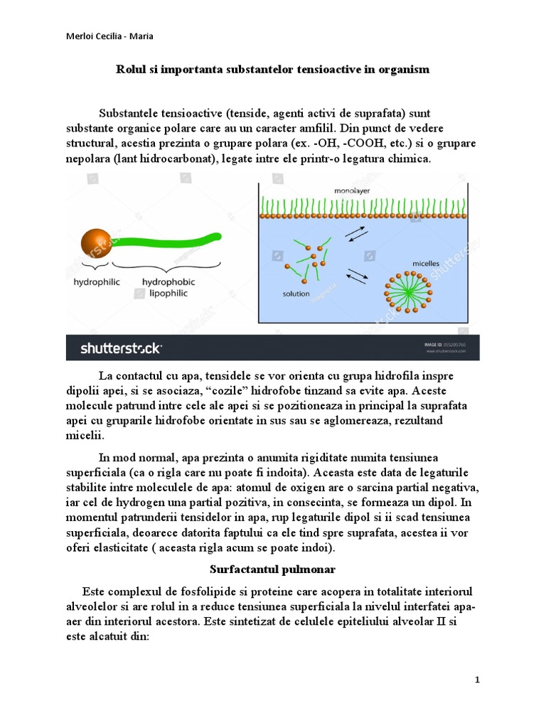 Rolul Si Importanta Substantelor Tensioactive - Merloi Cecilia - Maria | PDF
