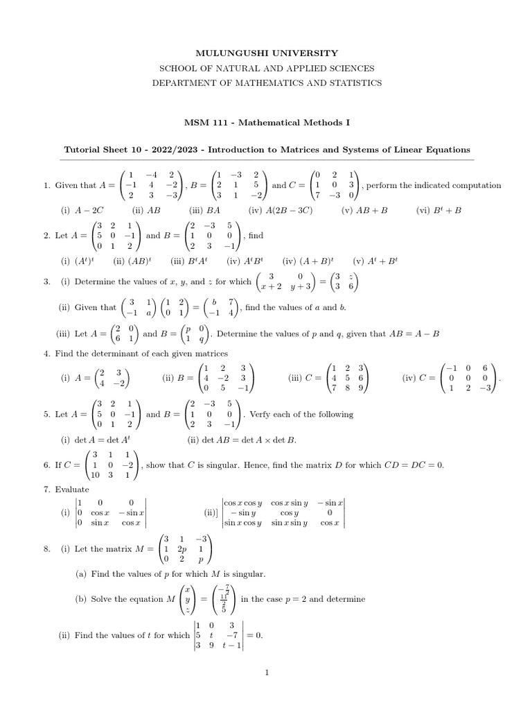 MSM 111 - Introduction To Matrices Systems of Equations - T10 | PDF ...