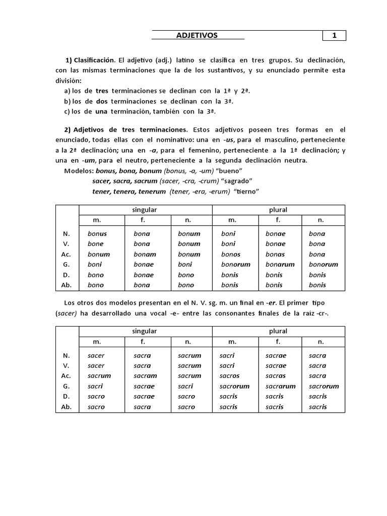 Adj Lat | PDF | Adjetivo | Sustantivo