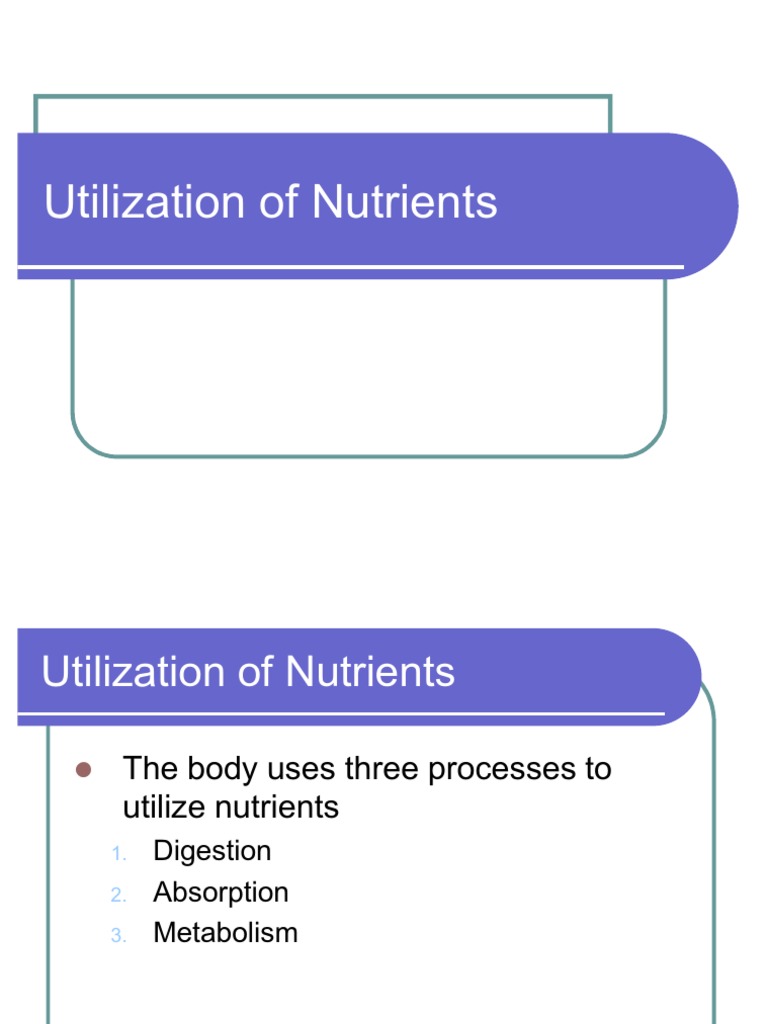 2 Utilization of Nutrients | PDF | Food Energy | Digestion